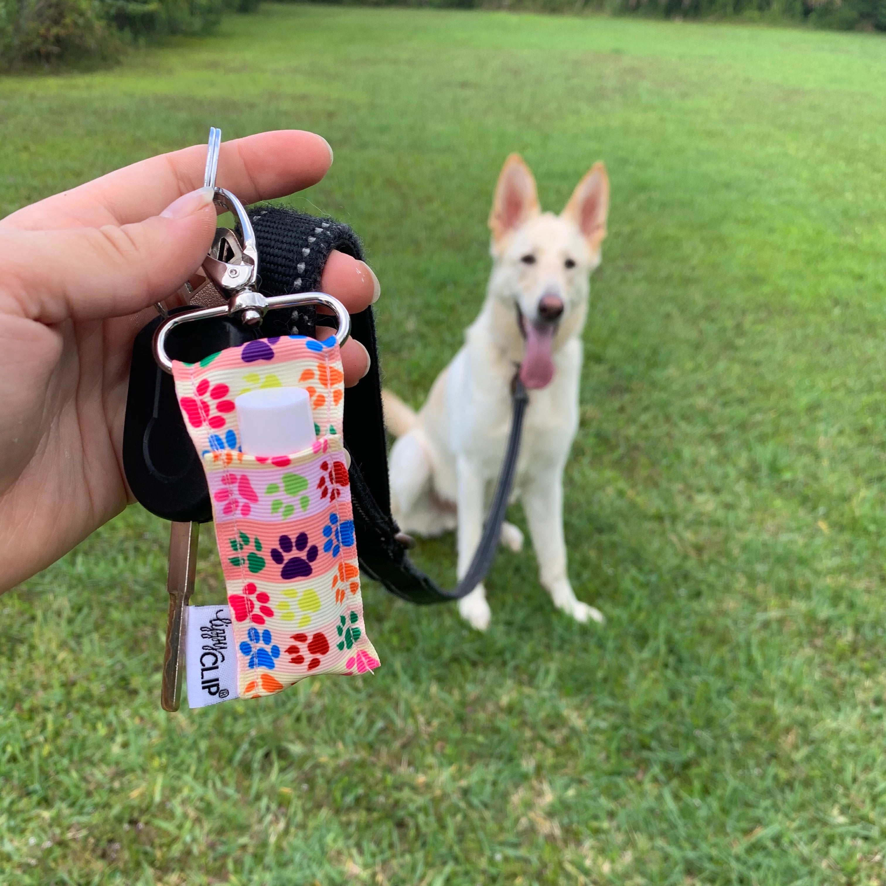 LippyClip® Lip Balm Holder | Never lose your lip balm again.